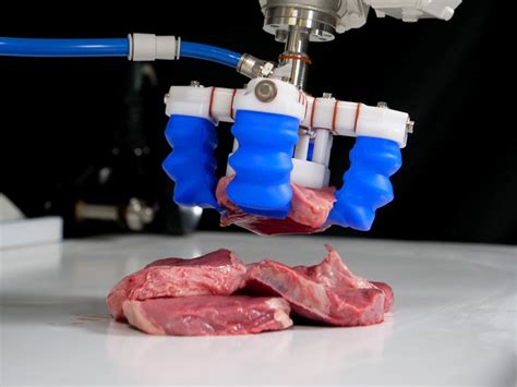 Enabling Flexible Manufacturing With Robotic Grippers Soft Robotics