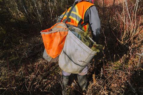 Plant Trees With Chilly Moose Chillymooseca