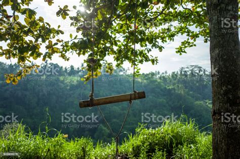 우 붓 발리 Campuhan 릿지 도보에서 스윙 0명에 대한 스톡 사진 및 기타 이미지 0명 거리 경관 Istock