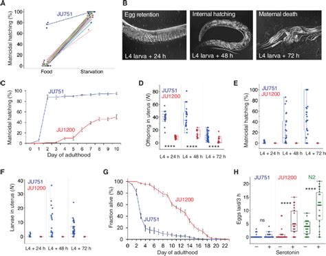 Natural Variation In Environmental Induction Of C Elegans Matricidal