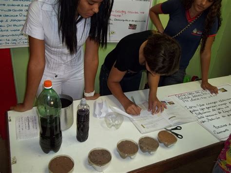 Escola AgrÍcola Municipal Nilo Batista Semana Mundial De Alimentação