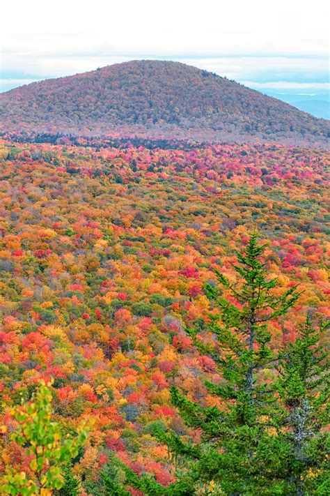 U S Leaf Peeping Artofit