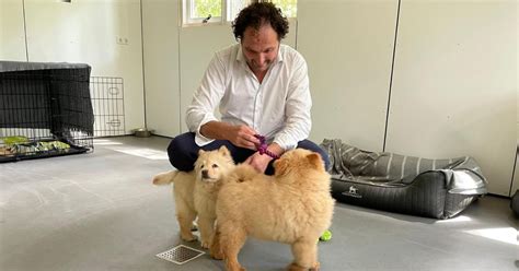 Bregtje Vlasblom Posted On Linkedin