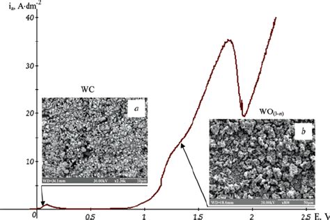 Anode Polarization Curve Of Wc Ni Pseudo Alloy In 1 M H 2 So 4 At 293
