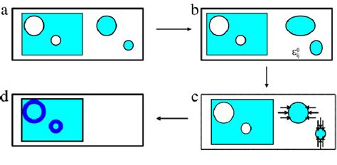 Successive Steps By Which A Coherent Multiphase Structure Is Formed And
