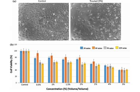 Mtt Assay For Cytotoxicity Of Nps In Human Ovarian Cancer Sk Ov3