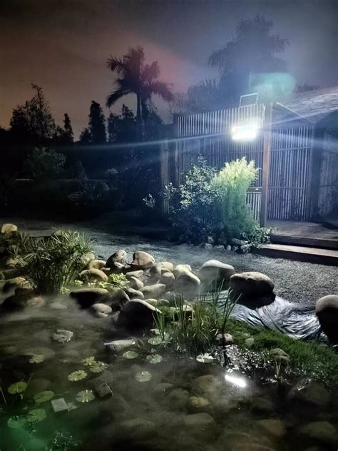 Jane Ouyang On Linkedin Solar Solar