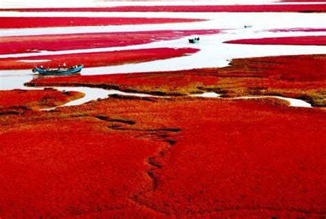 2018中国最美的六大沼泽湿地旅游攻略，自然景观中式比人造景观美
