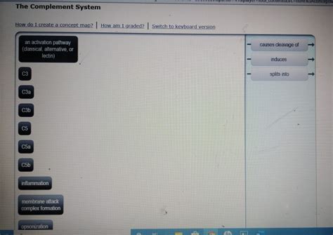 The Complement System Concept Map Map