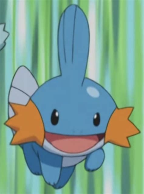 258 Mudkip Screenshot In 2025 Mudkip Pokemon Funny Pokemon Art