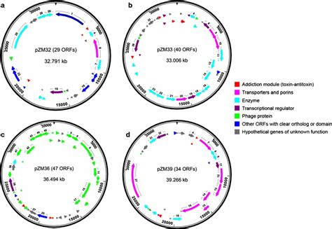 Complete Genome Sequence And The Expression Pattern Of Plasmids Of The