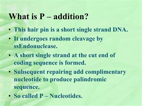 Antibody Diversity Presentation Pdf