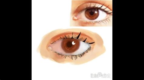 Brown Eyes Emmy Roblox15 Official Aureliaroblox Im A Artist Btw Youtube