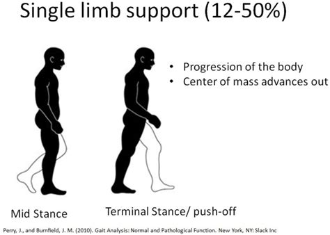 Engineering At Alberta Courses Gait Analysis