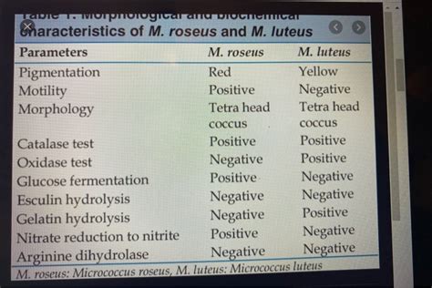 Solved Please I Need Help To Confirm That My Answers About