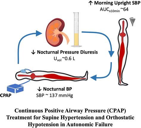 Vol 80 No 3 Hypertension