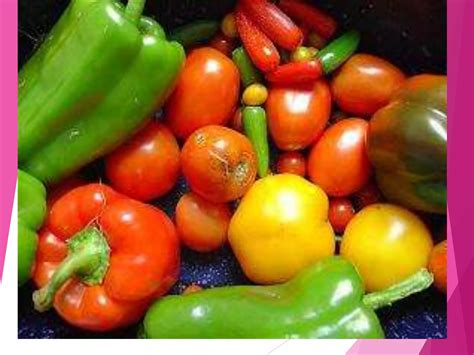 Carotenoids Definition Classification Properties Etc Pptx