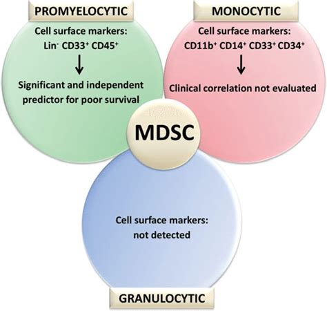 Clinical Correlation Of Mdsc Subtypes In Ovarian Cancer Patients