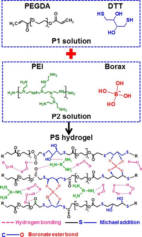 Preparation Of The Ps Hydrogels By Thiol Ene Michael Polyaddition