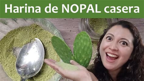 Receta de tortillas de nopal harina casera que sorprenderá LaGuada