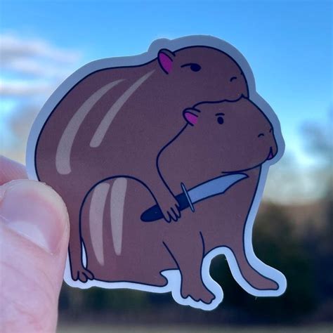 Capybara Squishmallow Etsy Hong Kong