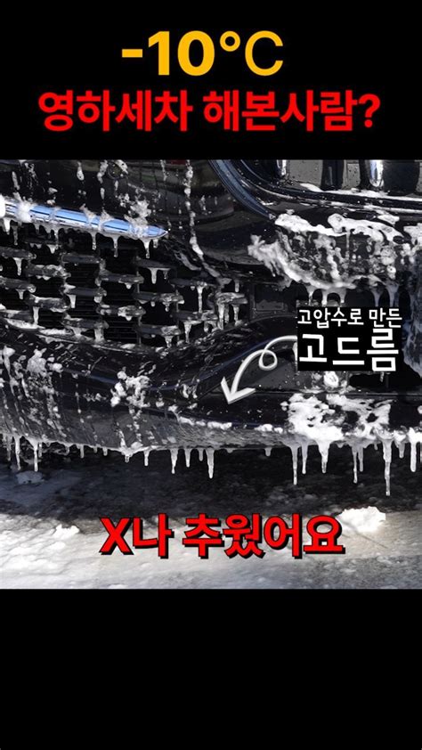 세차문화알려주는남자세알남 어떻게 지워야 하지😨 벌레제거제 효과적으로 쓰는 방법💡 벌레와 그 자국을 깨끗하게 지워준다는