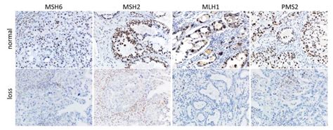 Rbc Bioscience On Linkedin Rbcbioscience Research Diagnostics