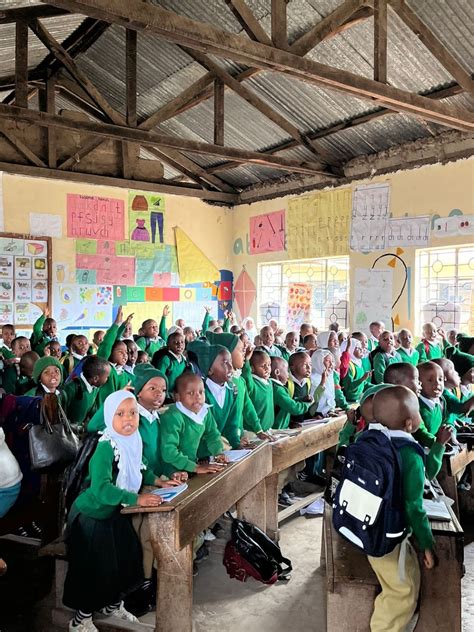 Isabelle F On Linkedin Tanzania Socialimpact