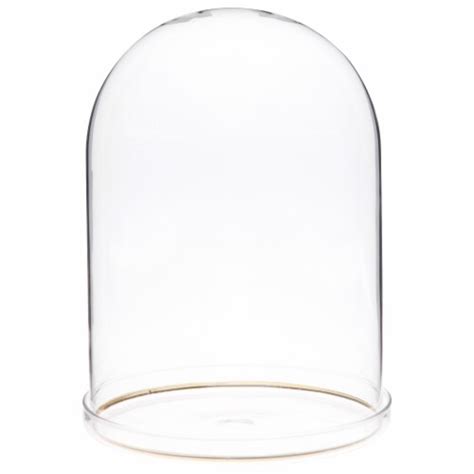 Plymor 55 X 8 Glass Display Dome Cloche With Gold Rim Clear Glass Tray Base Pack Of 6 6 Ct