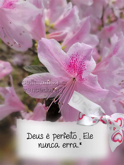 Pin de Celia Trindade em Jeová Mensagens lindas de deus Frases de