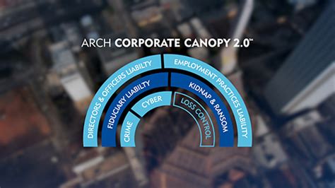 Management Liability Coverage Thats All Together Better Arch Insurance