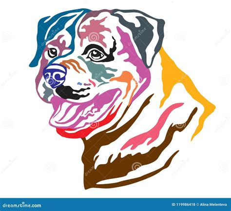 Rottweiler Vector Set Isolated Illustration On White Background