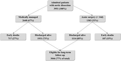 type b dissection management