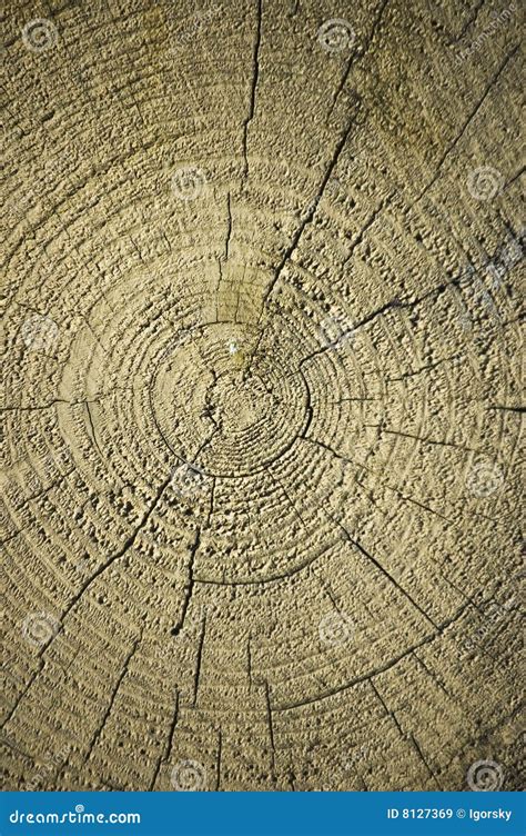 Wood Timber Construction Material For Background And Texture Wood Logs