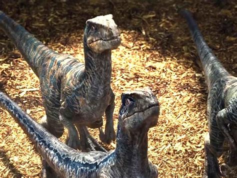 Jurassic Park Raptor Effects Park Pedia Jurassic Park