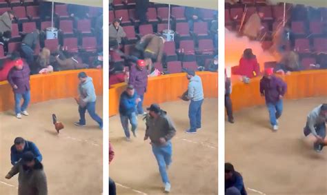 Pasa En México Explota Granada En Pelea De Gallos En Palenque De