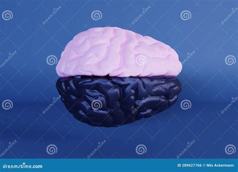 3d Render Of A Brain With Dark And White Cerebral Hemisphere Stock