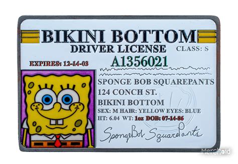 ¡estoy Listo Los Mejores Regalos De Bob Esponja 2025 Merchoid España