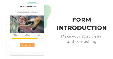 Tips For The Givewp Multi Step Donation Form Template
