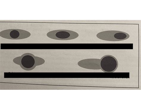 Endospore Location And Shape Quiz