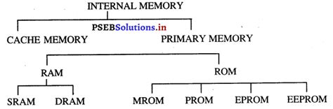Pseb 8th Class Computer Notes Chapter 8 मैमरी यूनिट्स Pseb Solutions