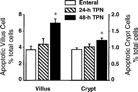 Rates Of Villous And Crypt Epithelial Cell Apoptosis In The Jejunum Of