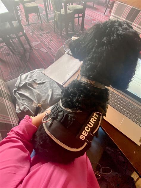 Alsa Tibbit On Linkedin Meeting Cybersecurity