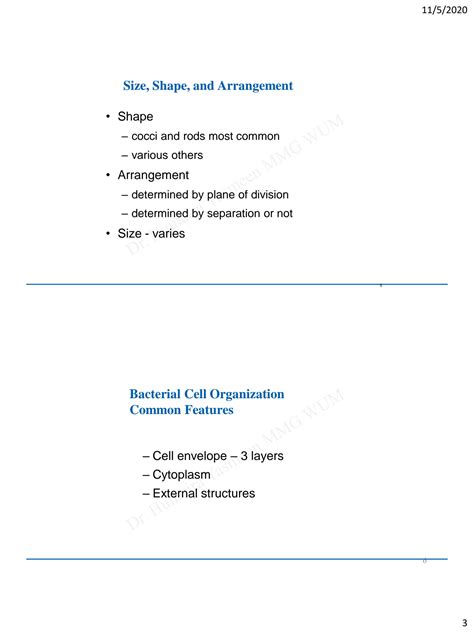 SOLUTION Bacterial Metabolism Theory Studypool