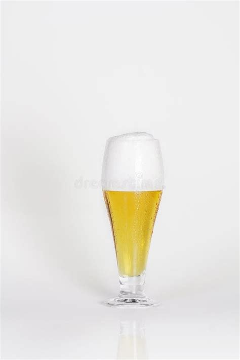 Glass Of Cold Lager Beer With Foam Stock Image Image Of Lager Golden