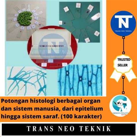 Jual Potongan Histologi Berbagai Organ Dan Sistem Manusia Dari