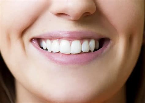 Mouth Facts So Many Molars