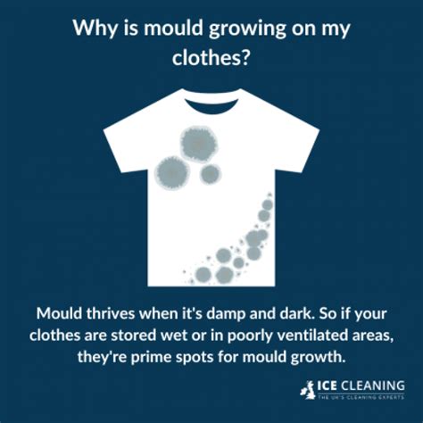 Why Is Mold Growing On My Clothes At Diane Gilbreath Blog