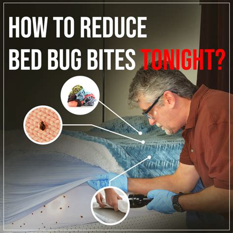 What Do Bed Bugs Eat Unveiling Their Diet Secrets Bed Bug Guide