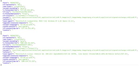How To Log Request Headers With Nginx And NJS Wild Wild Wolf